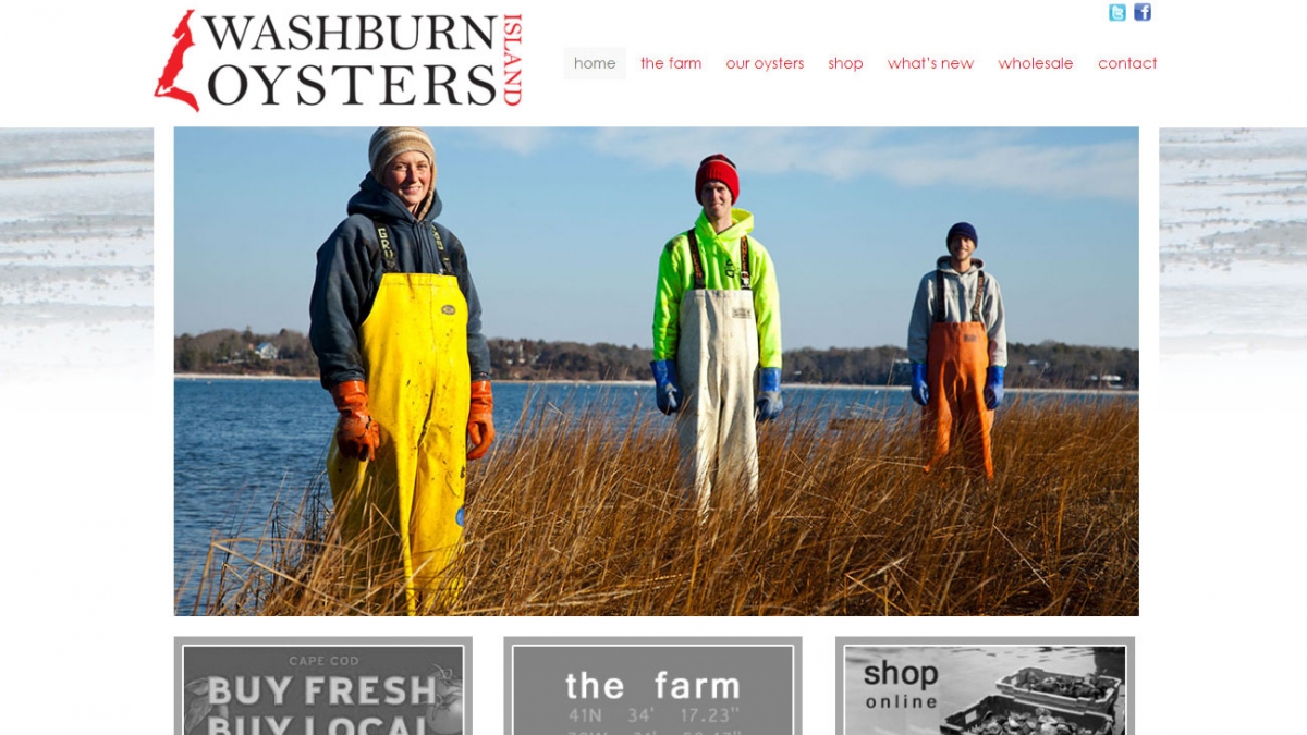 Washburn Island Oysters - Morningstar Design